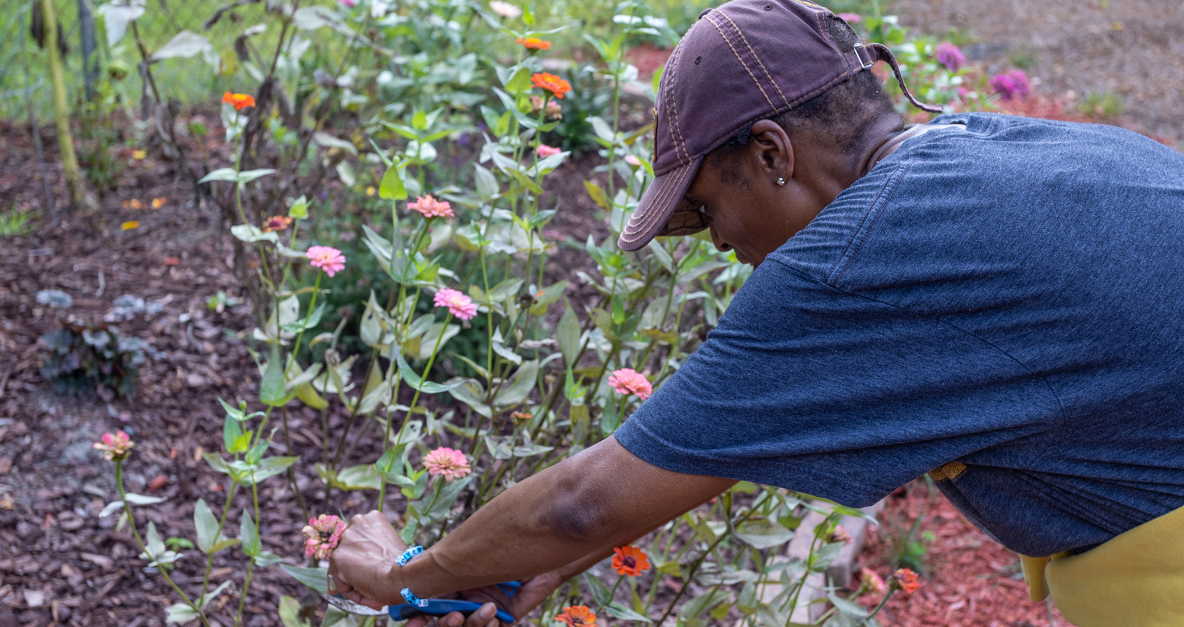 Creation Care - St. Matthews United Methodist Church - Greensboro ...
